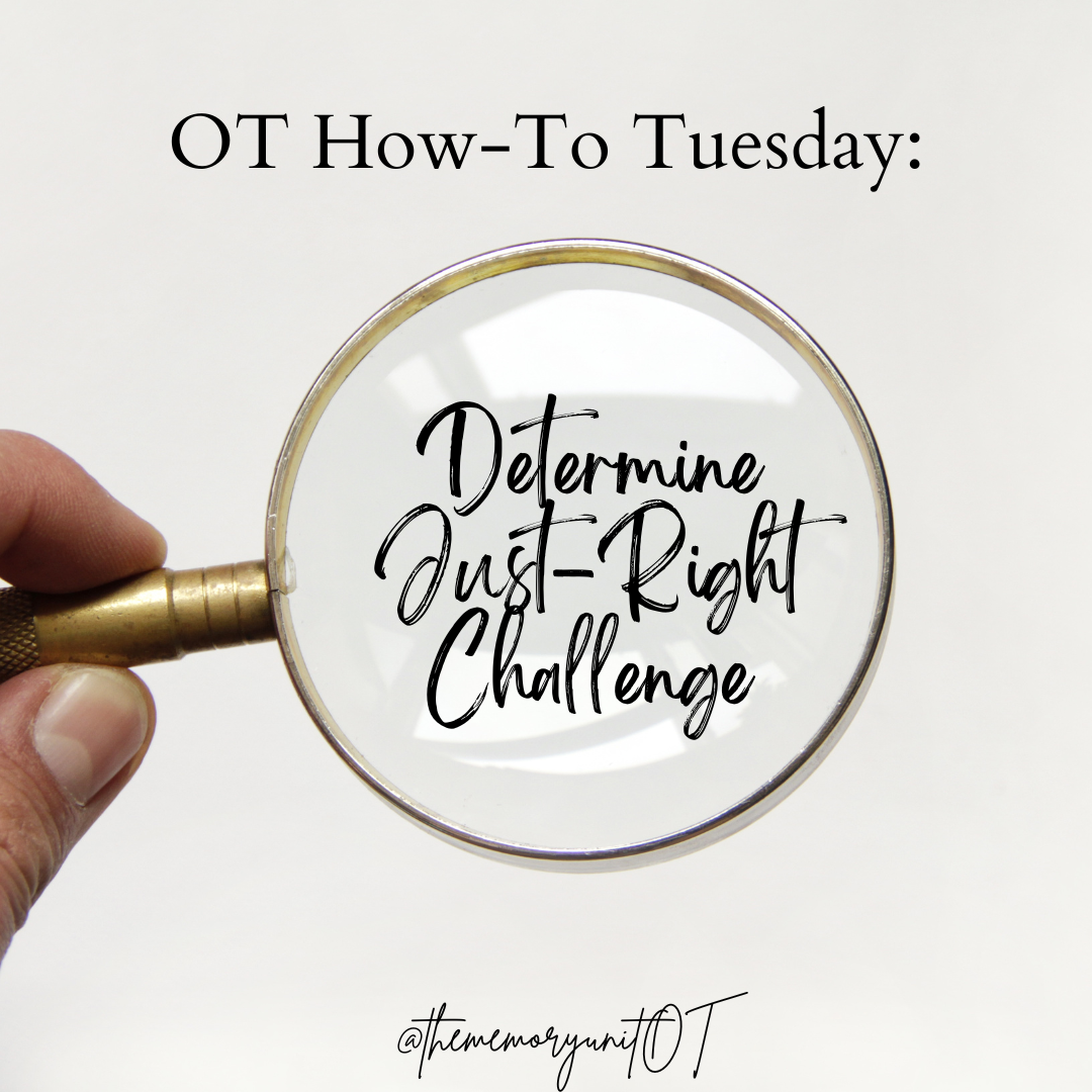 How to Determine and Utilize “Just Right Challenge” on The Memory Unit ...